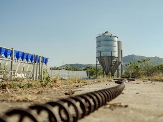 Mantusini Dairy Farm collapse leaves community in despair | Mzansi Stars